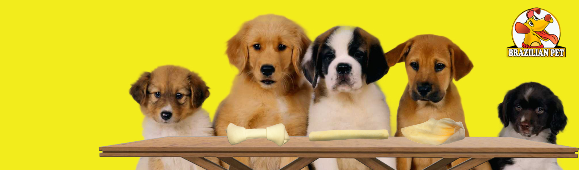 Brazilian Pet Store